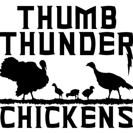 Thumb Thunder Chickens