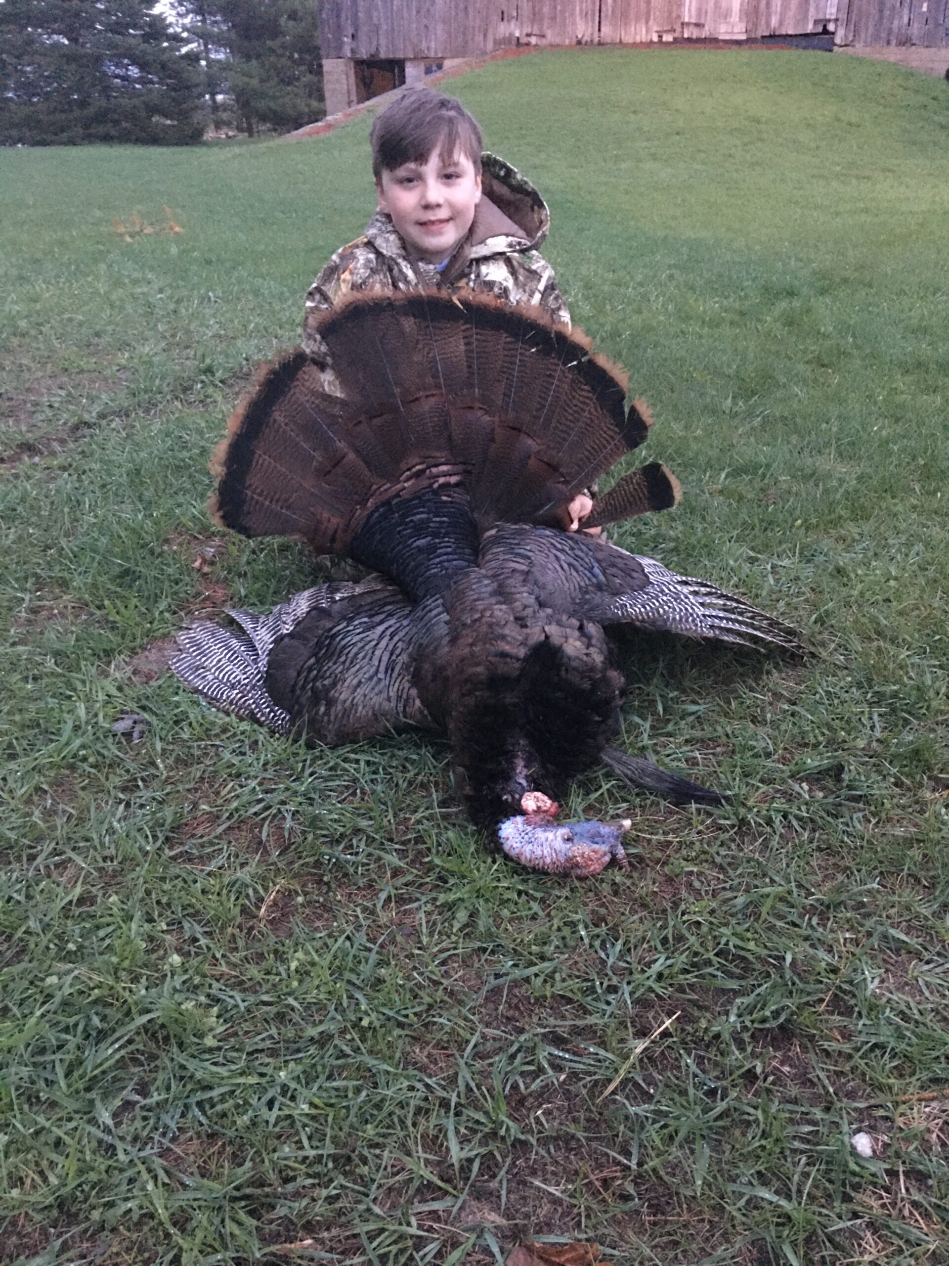 Thumb Thunder Chickens