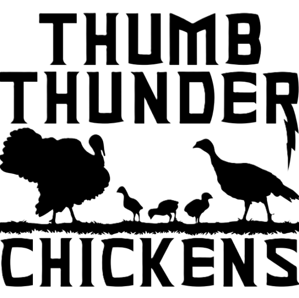 Thumb Thunder Chickens