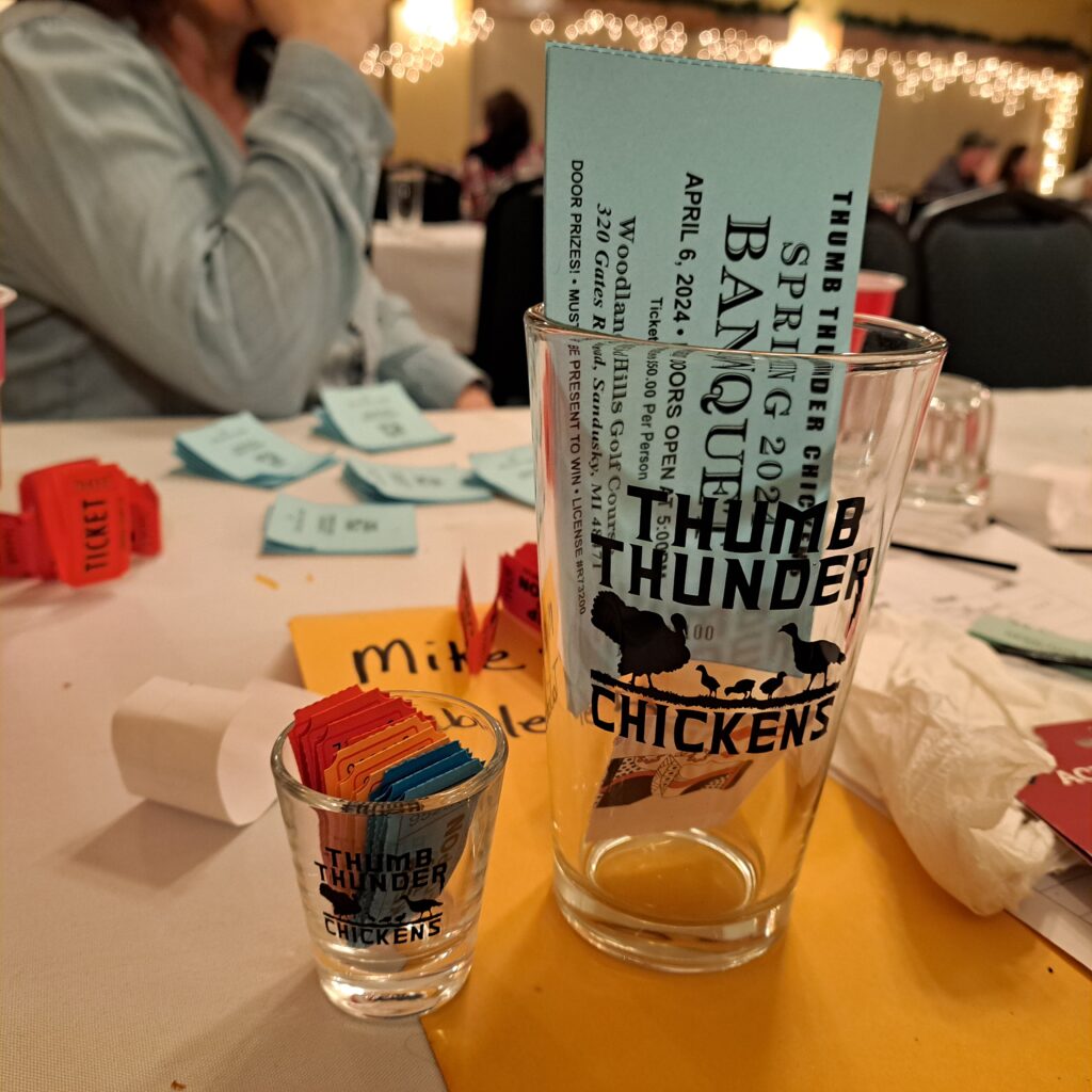Thumb Thunder Chickens